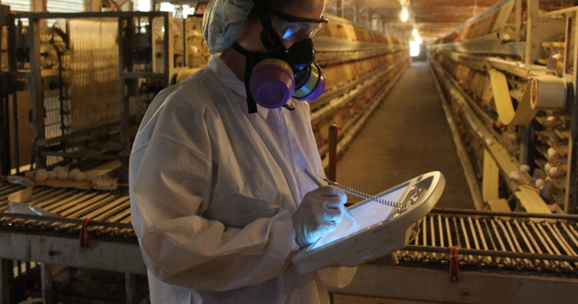 REI Systems | Fast Tracking the FDA